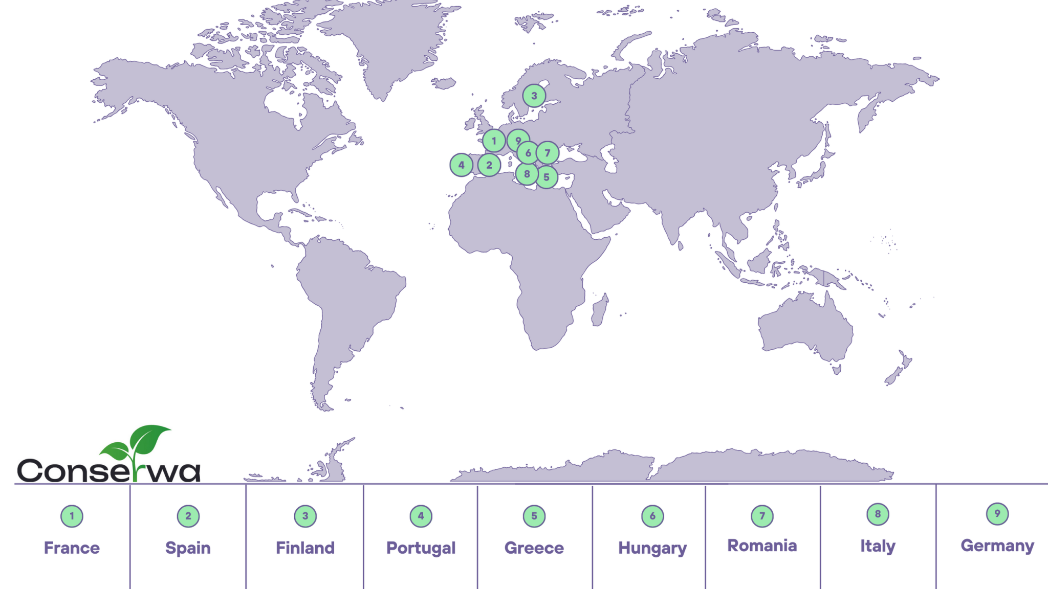 Conserwa – conserwa
